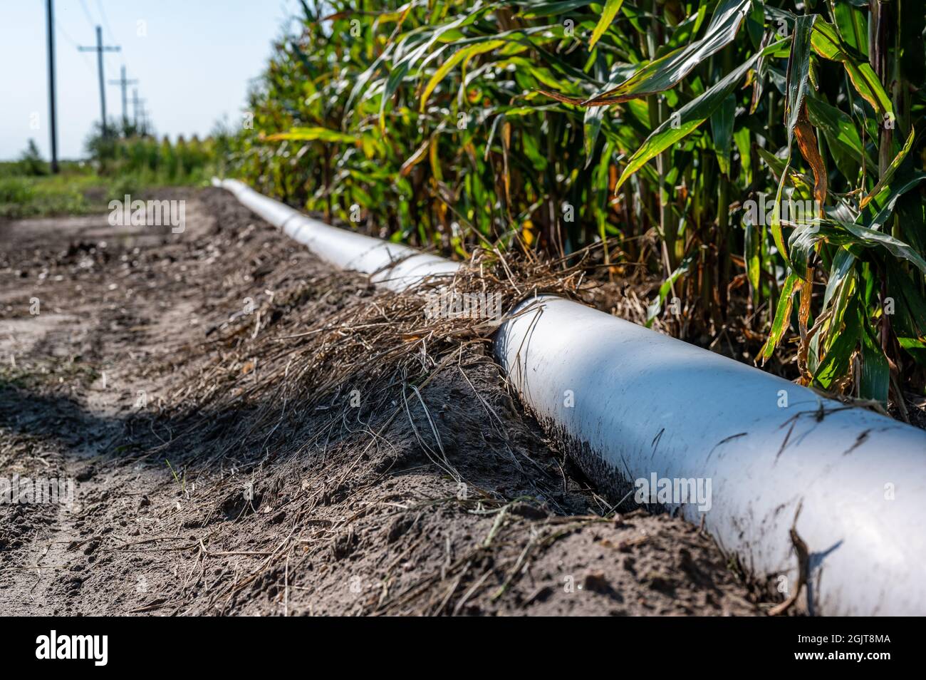 Level furrow irrigation hi-res stock photography and images - Alamy