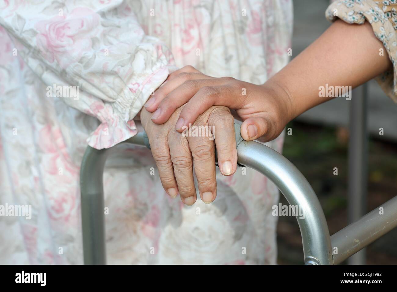 senior woman sitting use a walker with caregiver Stock Photo - Alamy