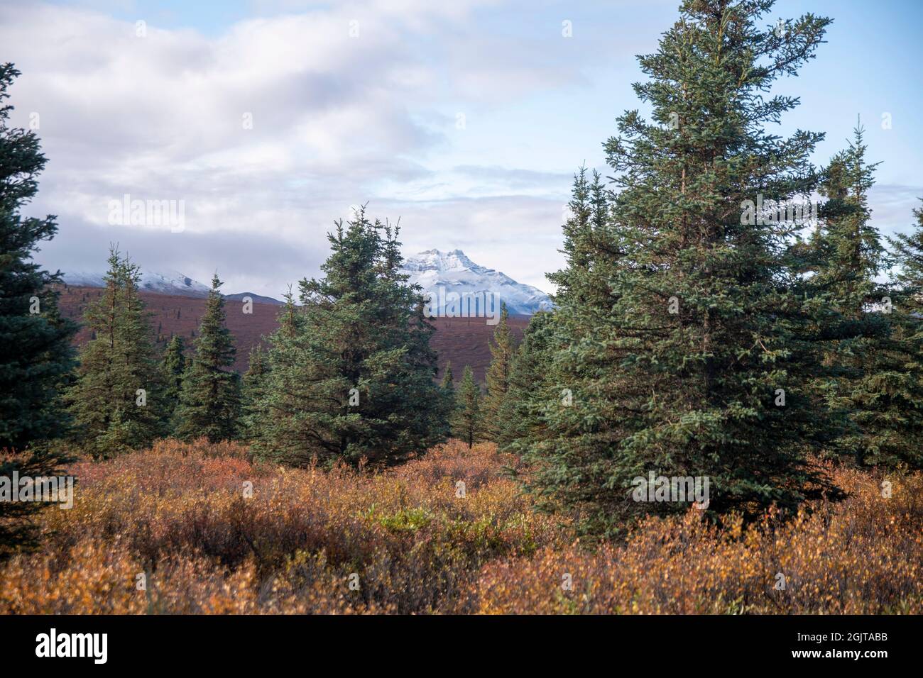 Mt. Denali can be seen from the Mountain Vista walking area in Denali ...