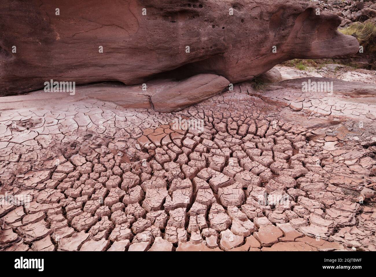 Cracked mud desert hi-res stock photography and images - Alamy