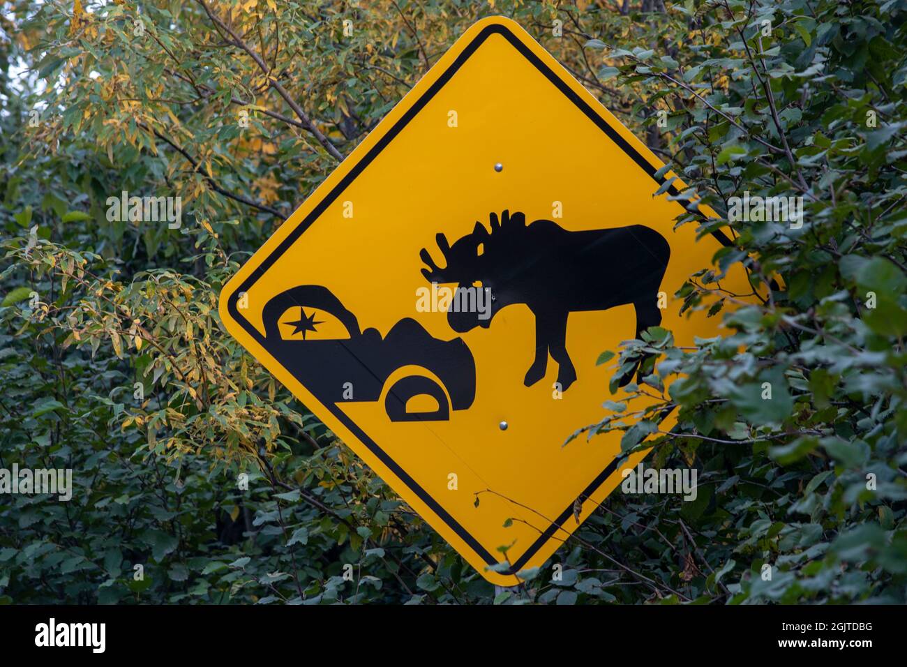 Funny road signs hi-res stock photography and images - Alamy