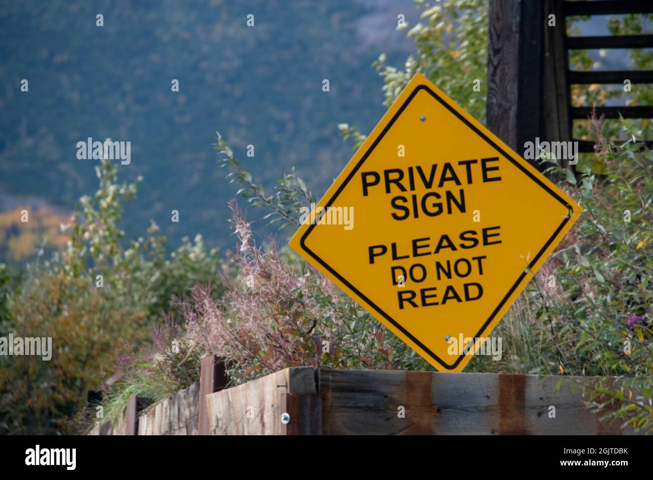 Funny traffic signs near road hi-res stock photography and images - Alamy