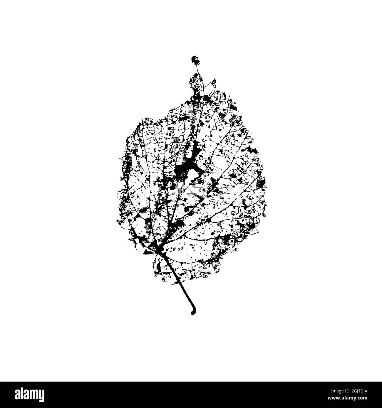 Caterpillar and leaf Cut Out Stock Images & Pictures - Alamy