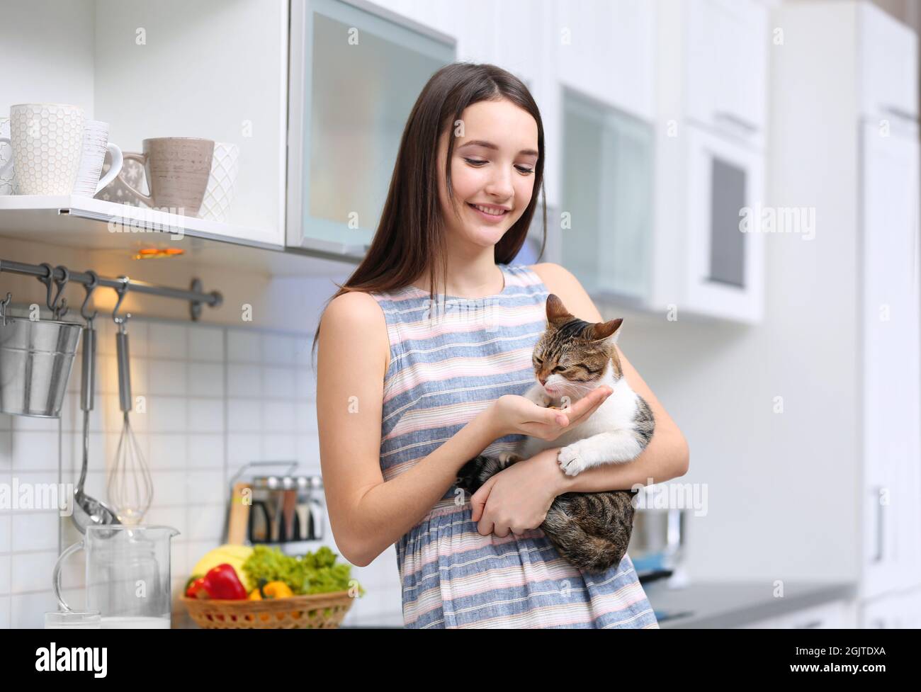 Beautiful young woman feeding cute cat in kitchen Stock Photo - Alamy