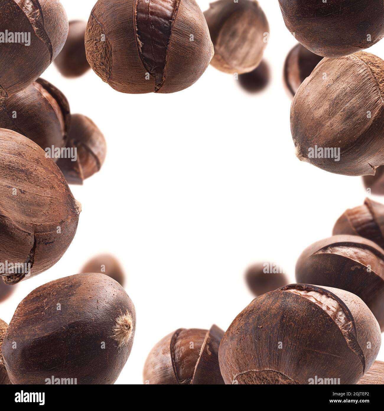 Ripe chestnuts levitate on a white background Stock Photo - Alamy