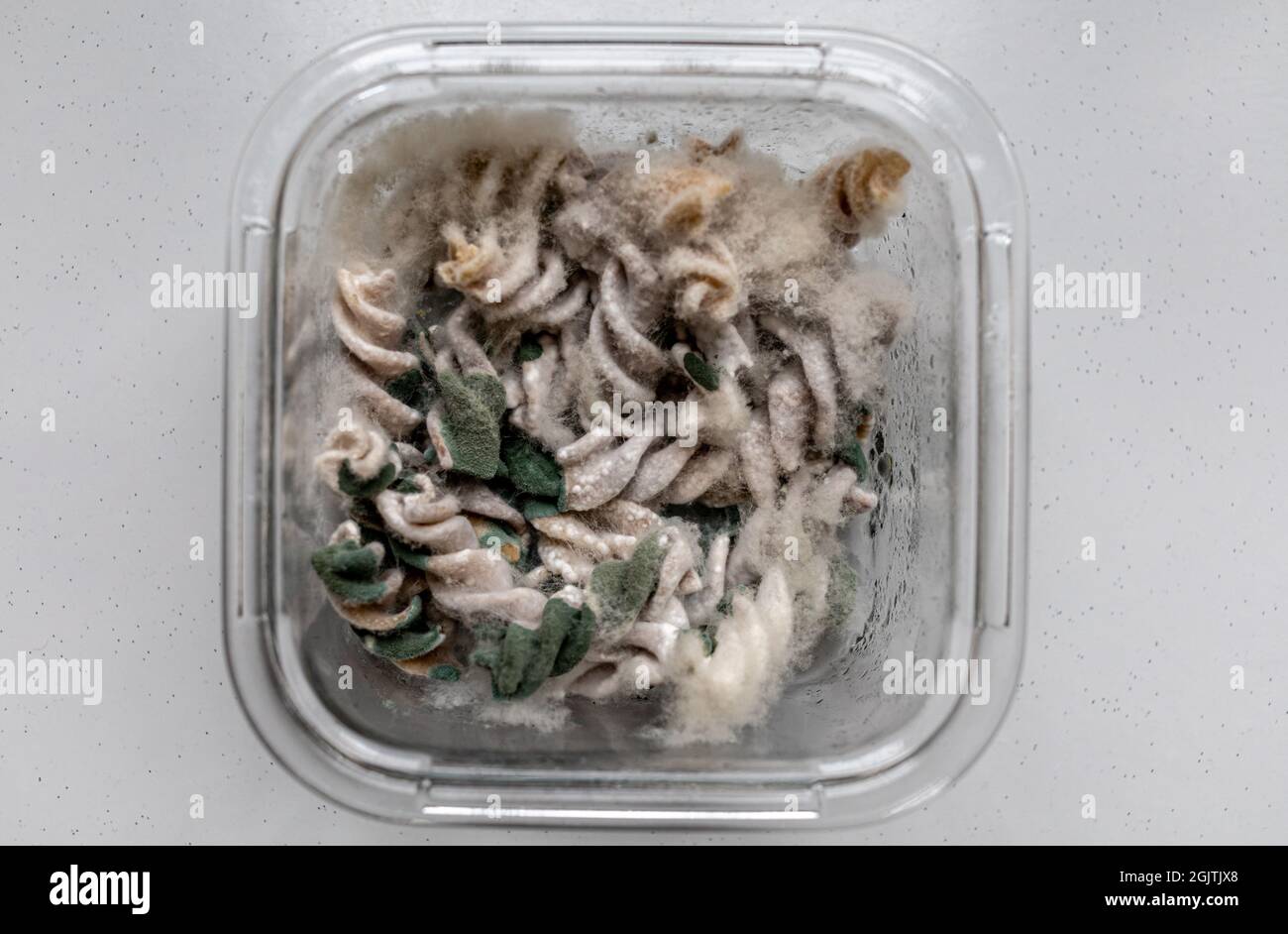 Moldy food bowl hi-res stock photography and images - Alamy