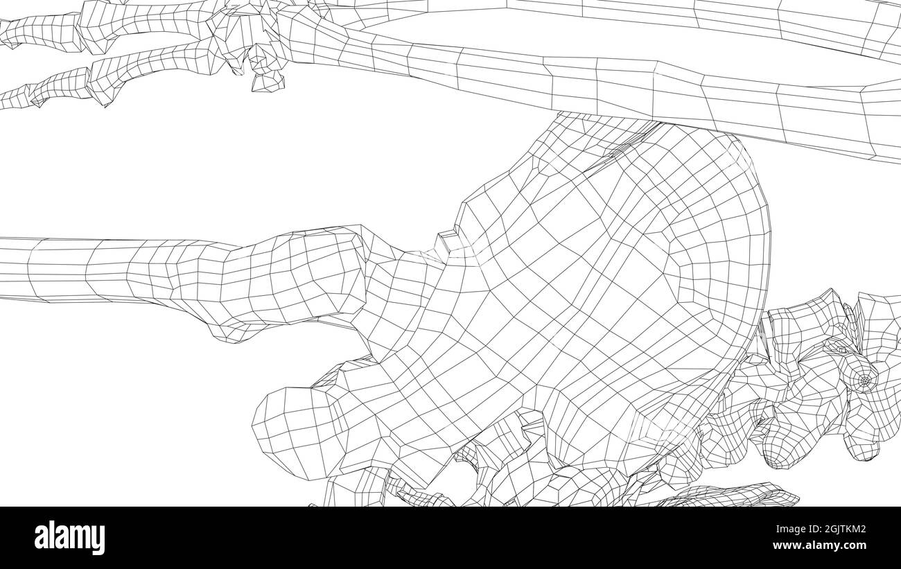 Human skeleton. Vector Stock Vector Image & Art - Alamy