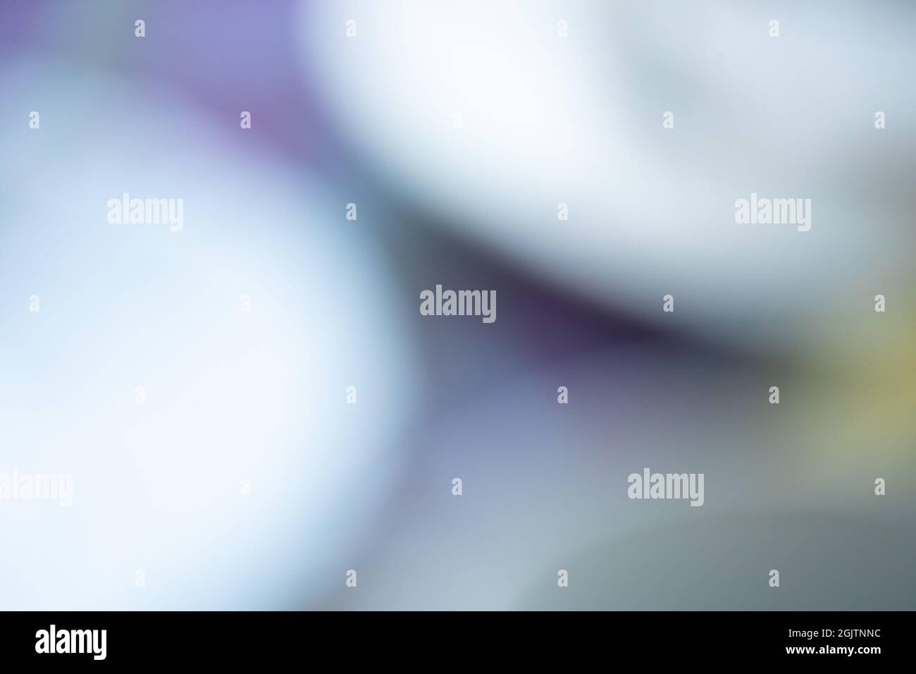 Abstract light and blurred gradient background, soft focus Stock Photo ...