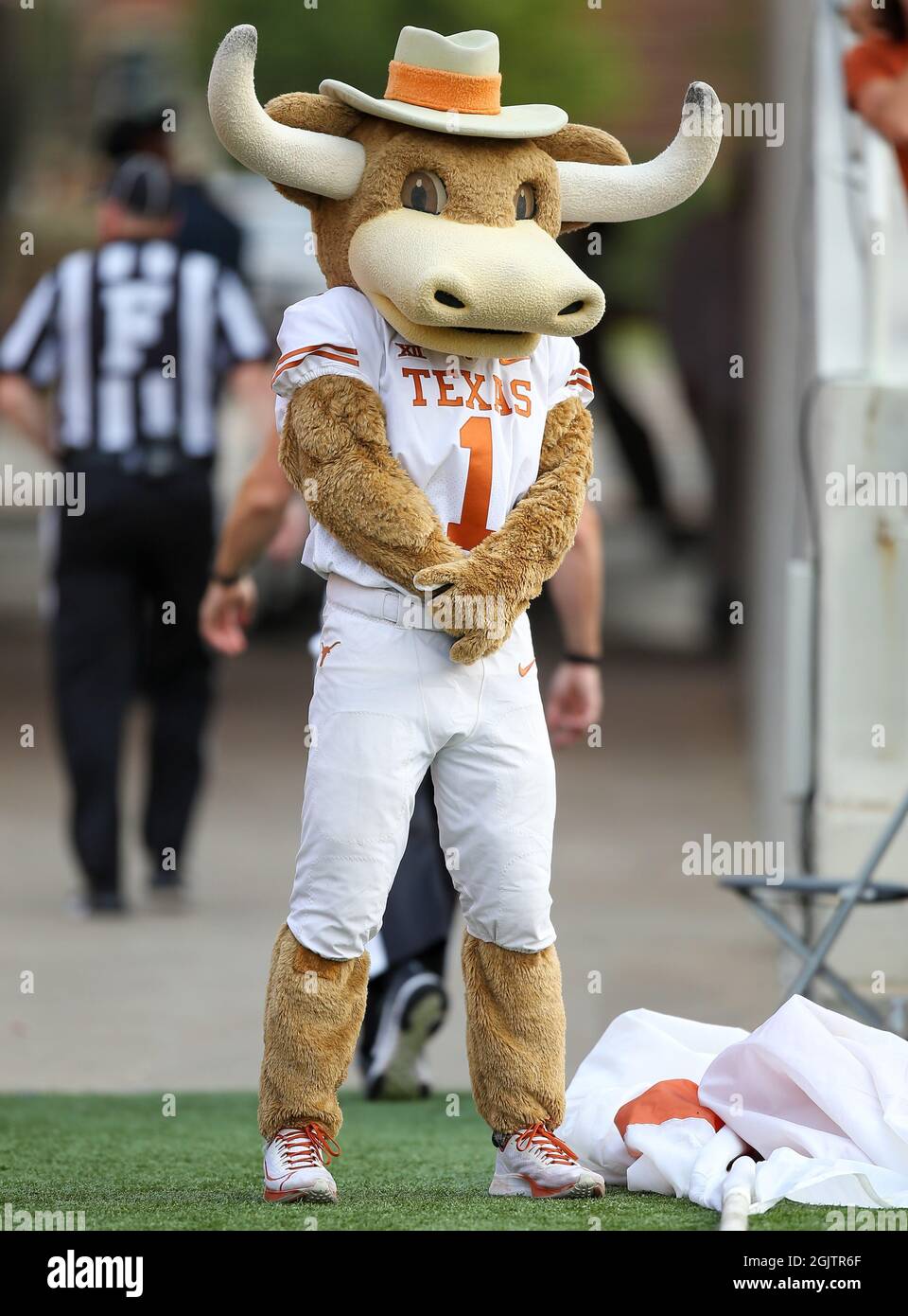 Arkansas razorbacks mascot hi-res stock photography and images - Alamy