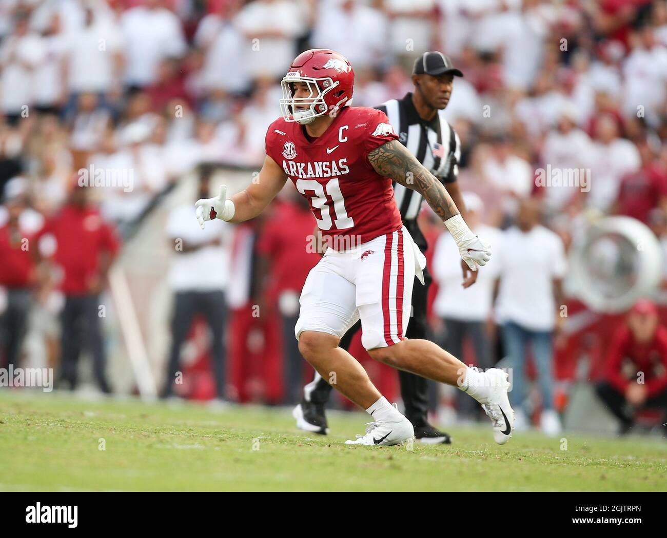 September 11, 2021: Grant Morgan #31 Arkansas linebacker moves across ...