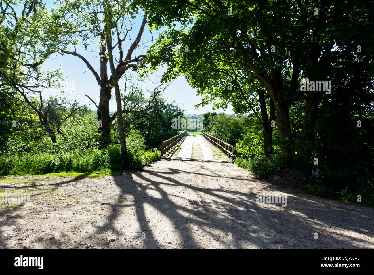 The wooden bridge to Dunglass island appears from the treeline at each ...