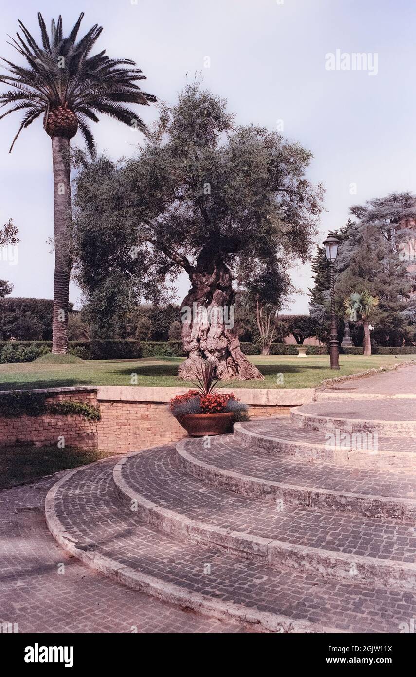 A path in a garden in Rome with old statues, columns, and water ...