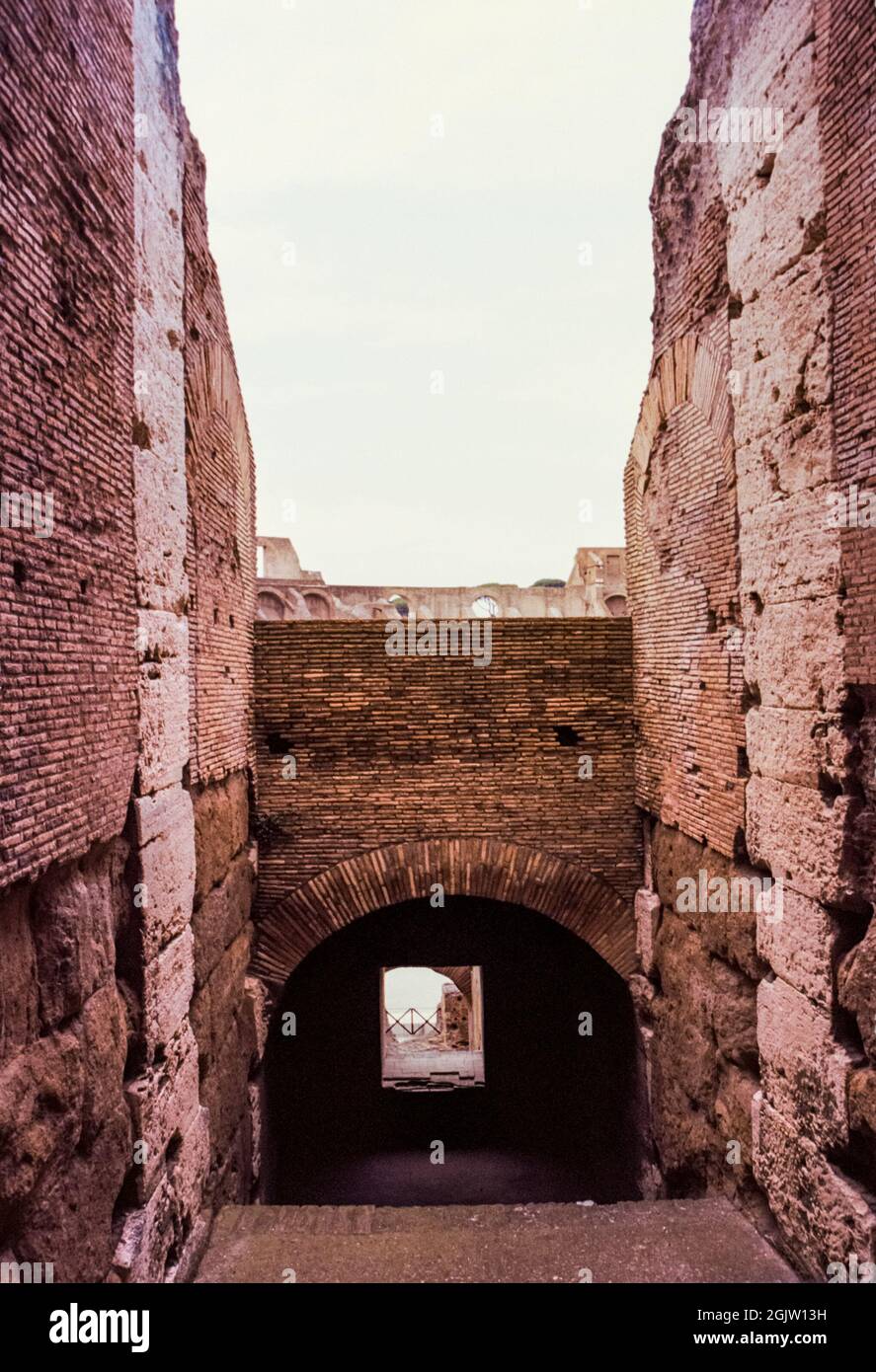 Details of the Colosseum amphitheatre in Rome during the day, shot with ...