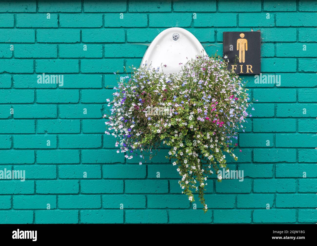 Decoration Toilet High Resolution Stock Photography and Images - Alamy