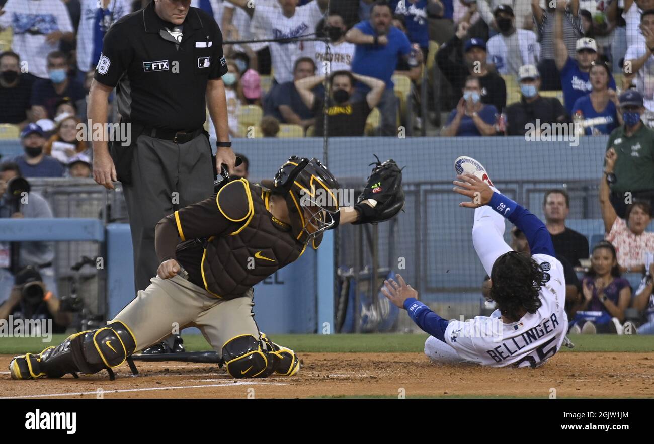 Paddock game hi-res stock photography and images - Alamy