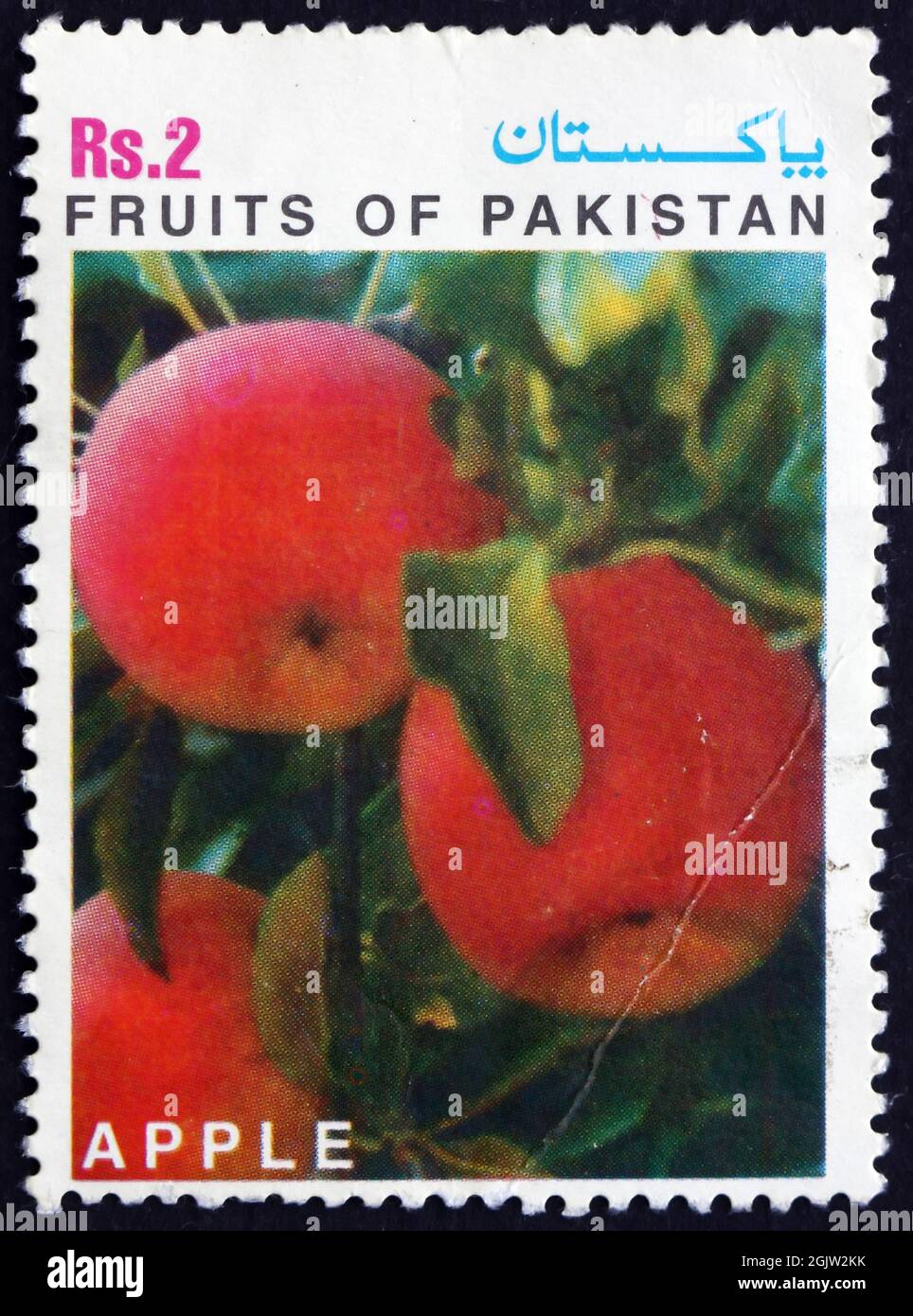 PAKISTAN - CIRCA 1997: a stamp printed in Pakistan shows Apple, Fruit ...