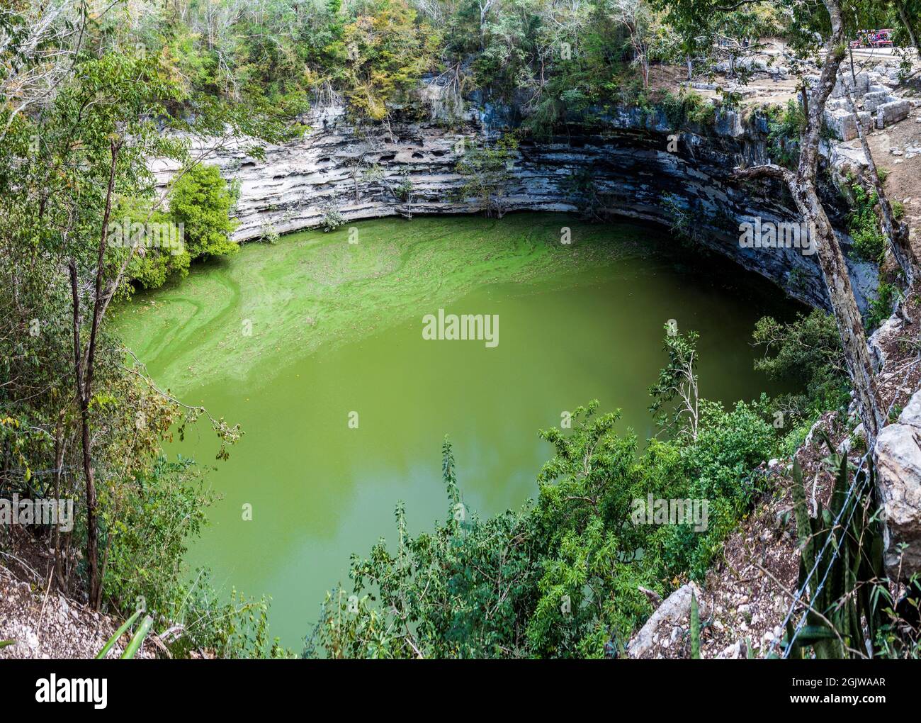 Sacred cenote at the archeological site Chichen Itza, Mexico Stock ...
