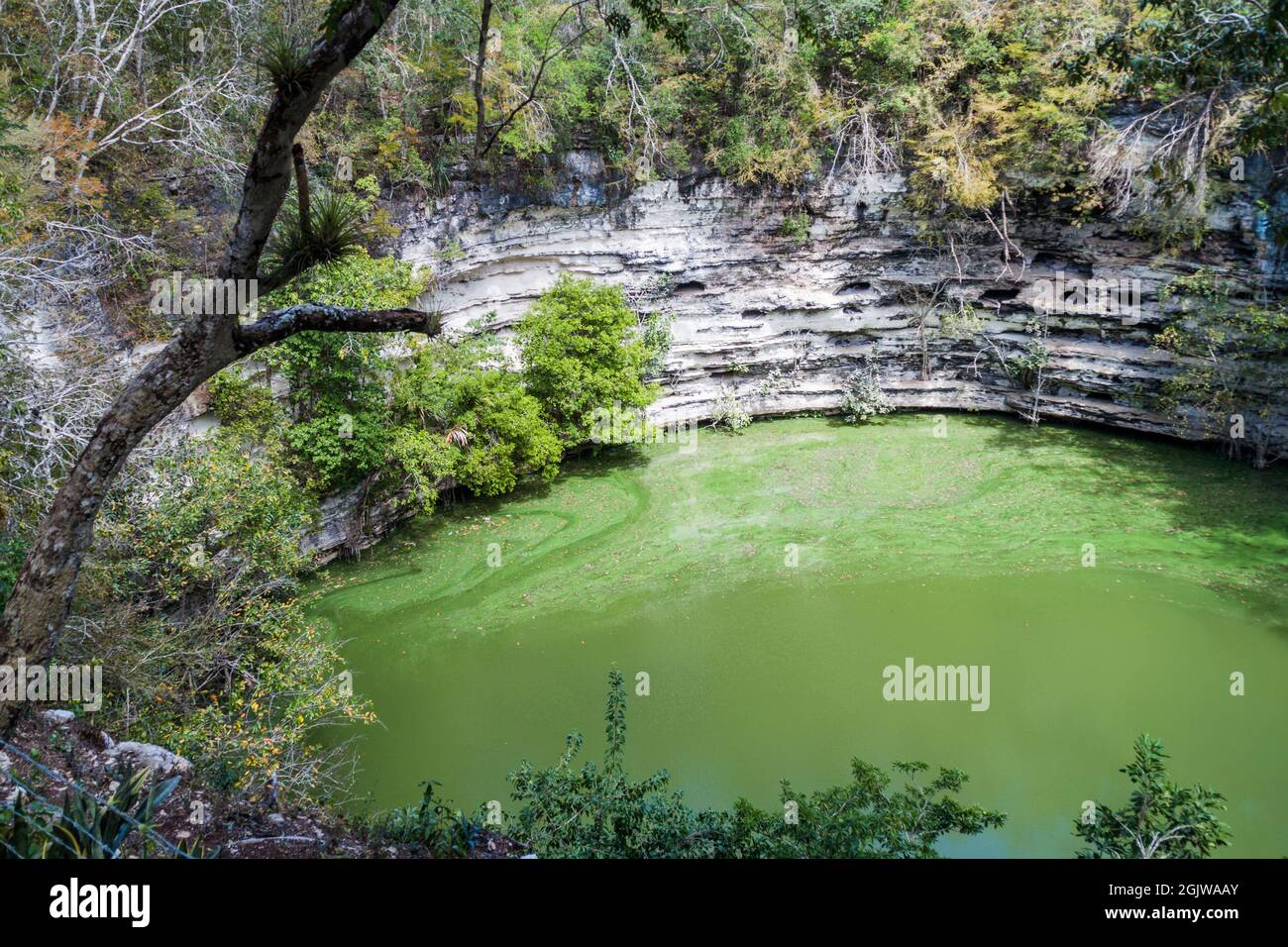 Sacred cenote at the archeological site Chichen Itza, Mexico Stock ...
