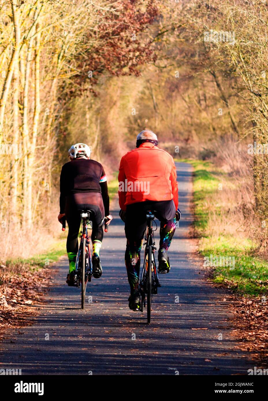 old people practicing cycling in autumn on bike lane Stock Photo - Alamy