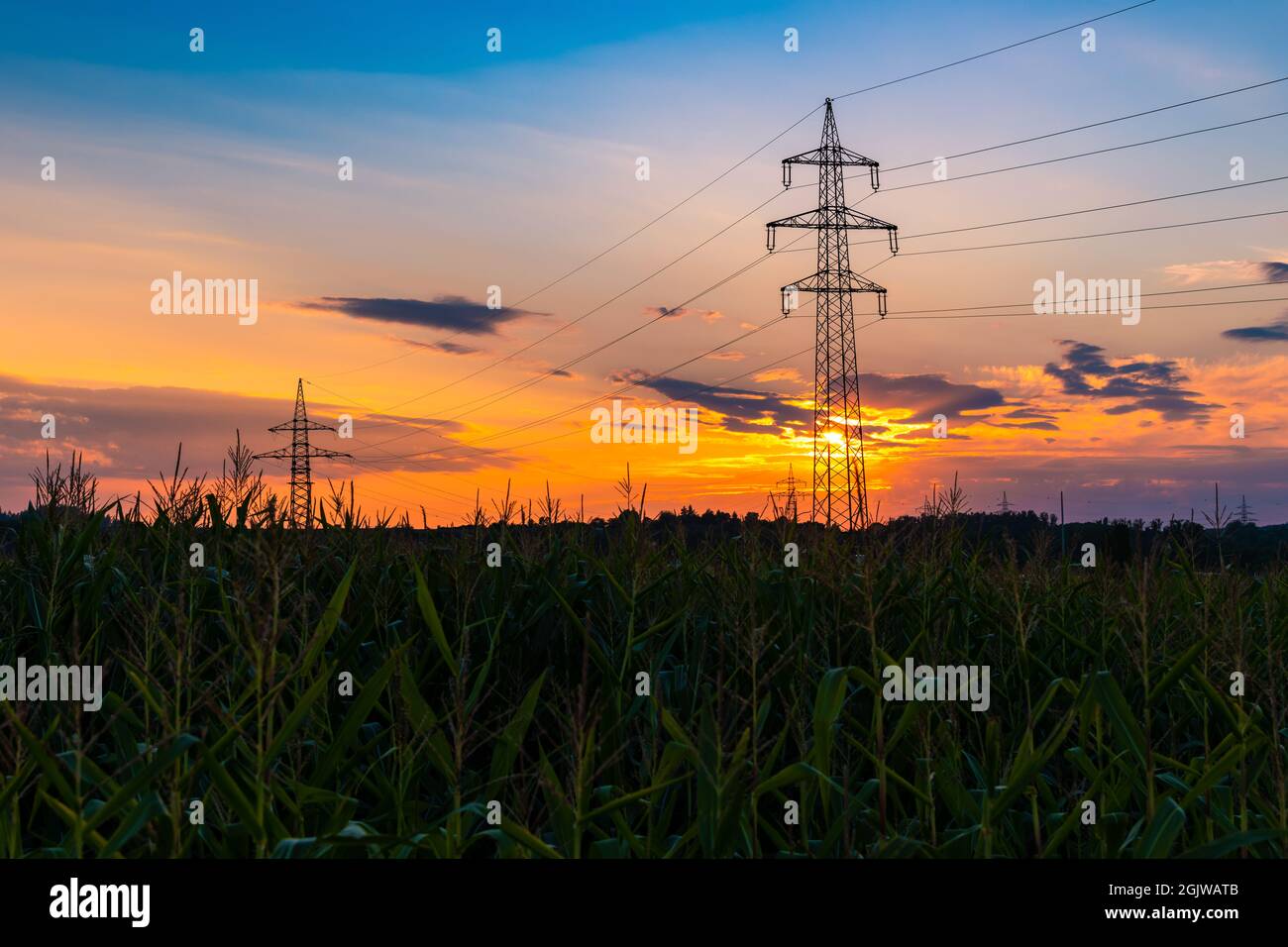 Electricity pylons in the sunset Stock Photo - Alamy