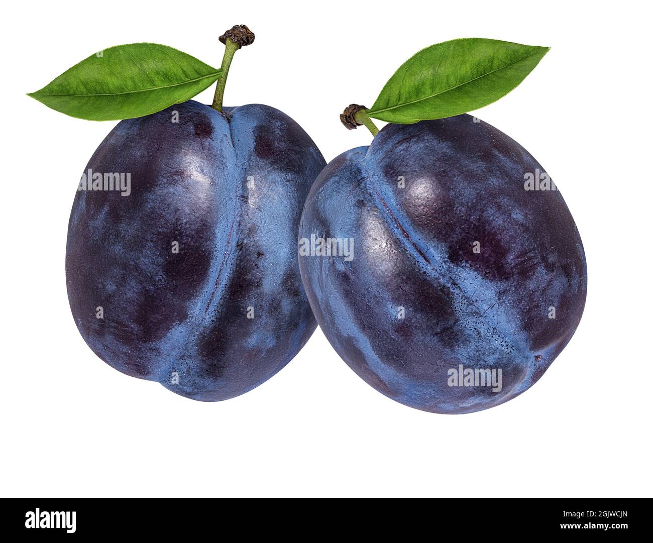Plum isolated on white background Stock Photo - Alamy