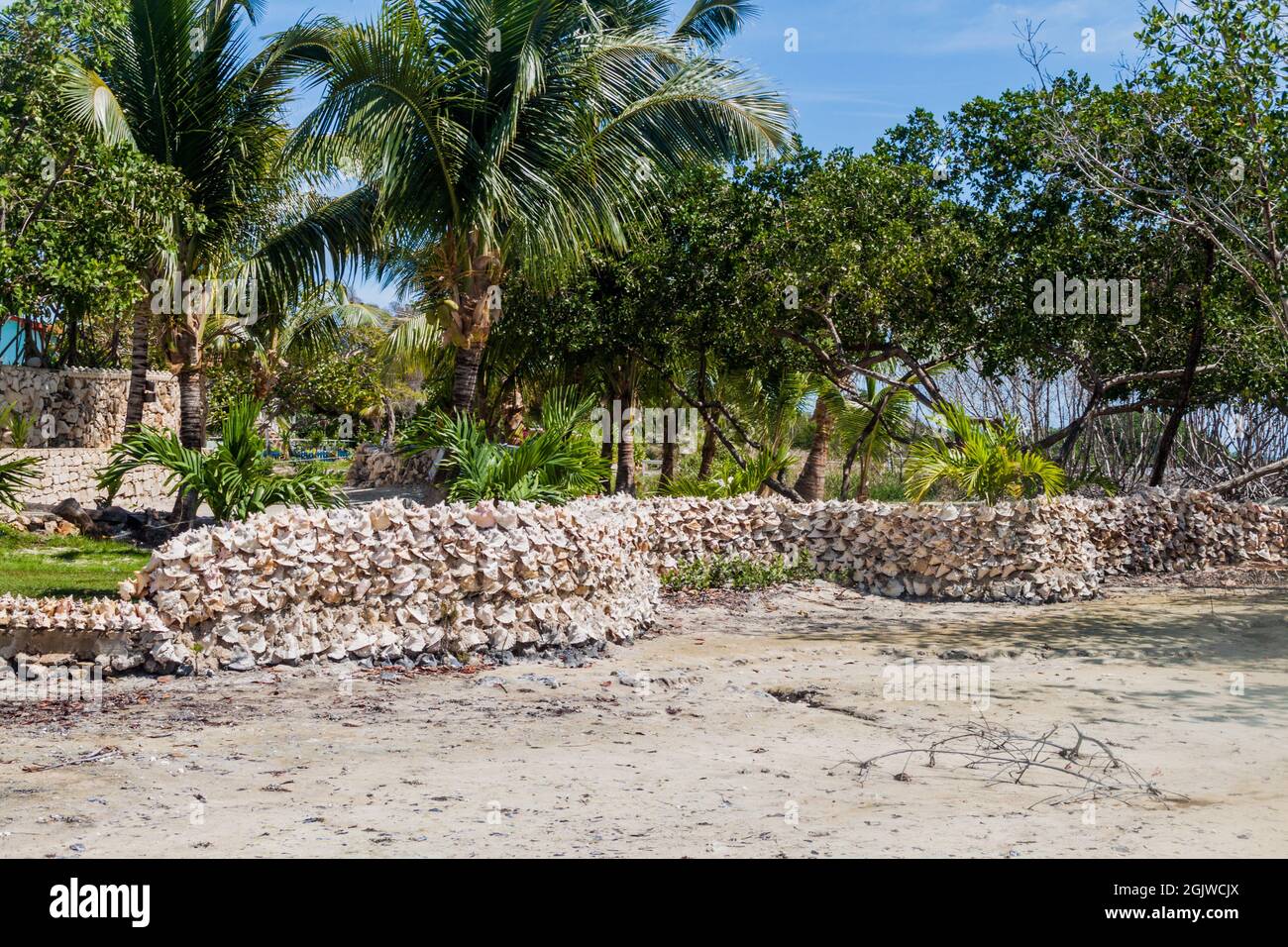 Small wall made of conches at Caye Caulker island, Belize Stock Photo ...