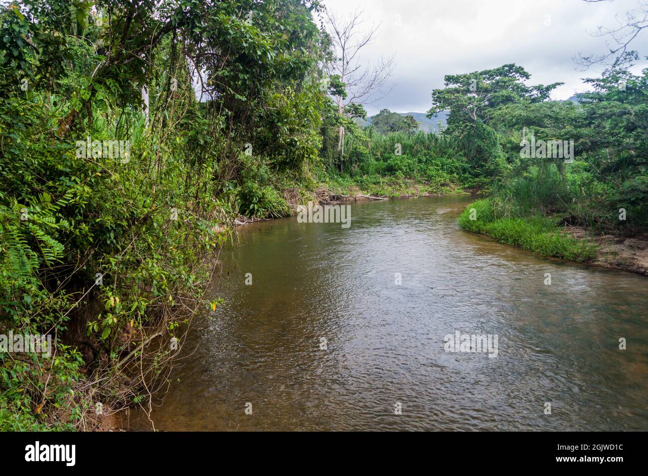 South Stann Creek in Cockscomb Basin Wildlife Sanctuary, Belize Stock ...