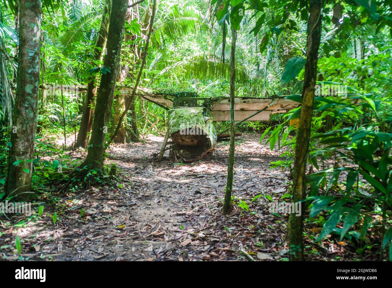 Plane wreck in Cockscomb Basin Wildlife Sanctuary, Belize. This plane ...