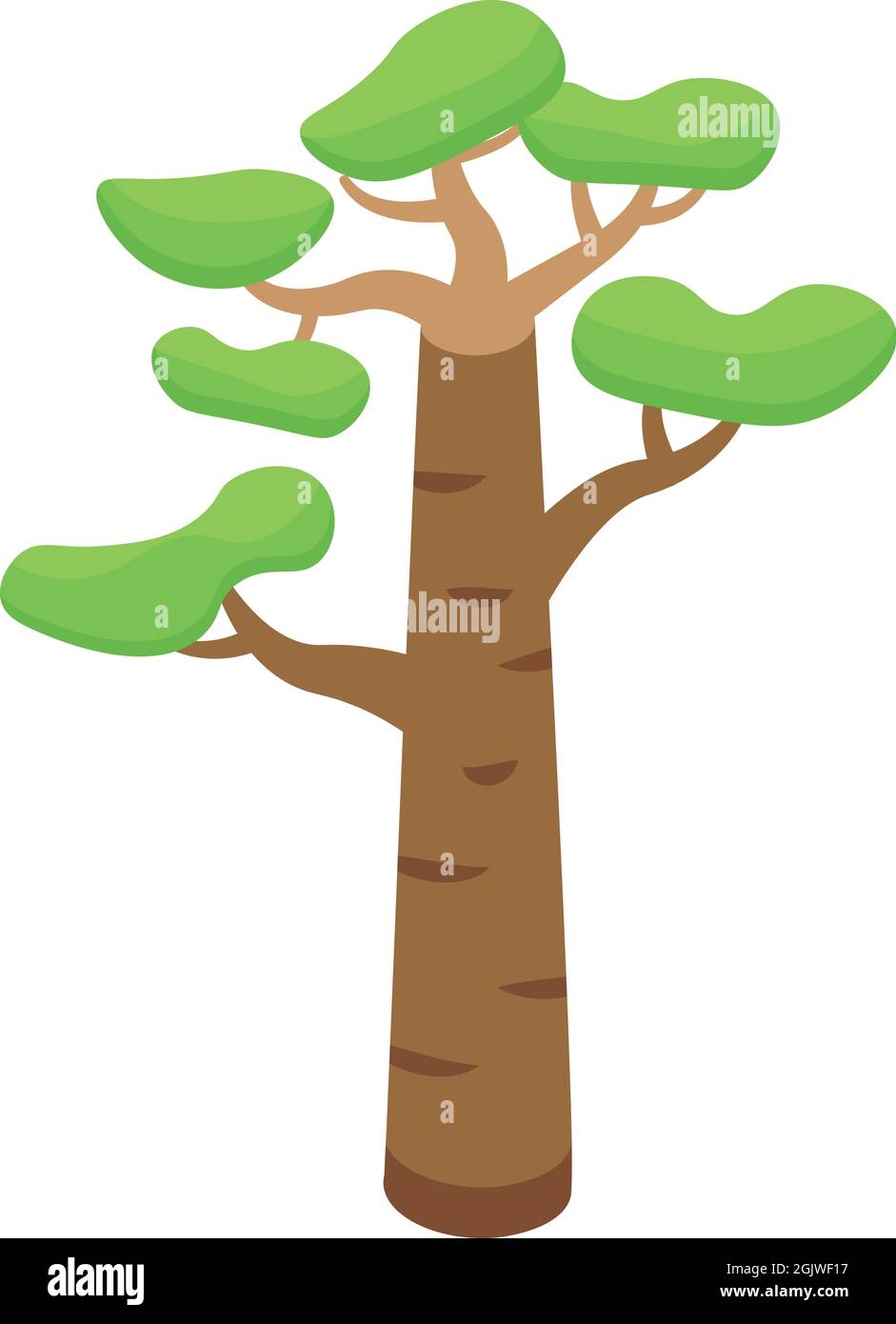 Baobab african tree icon isometric vector. Madagascar plant. Savanna ...