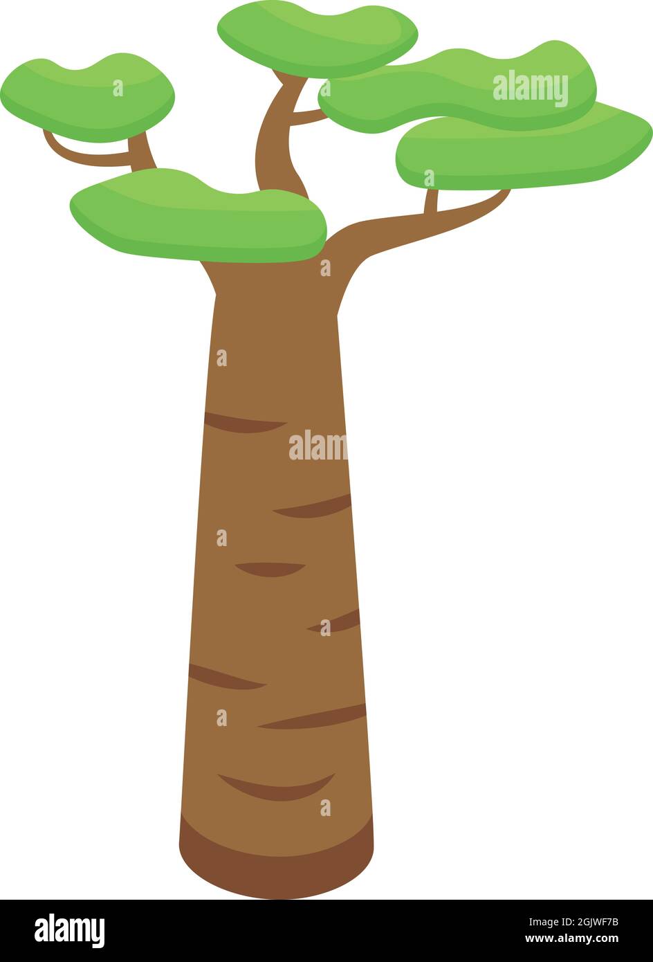 Young baobab tree icon isometric vector. African leaf. Africa plant ...