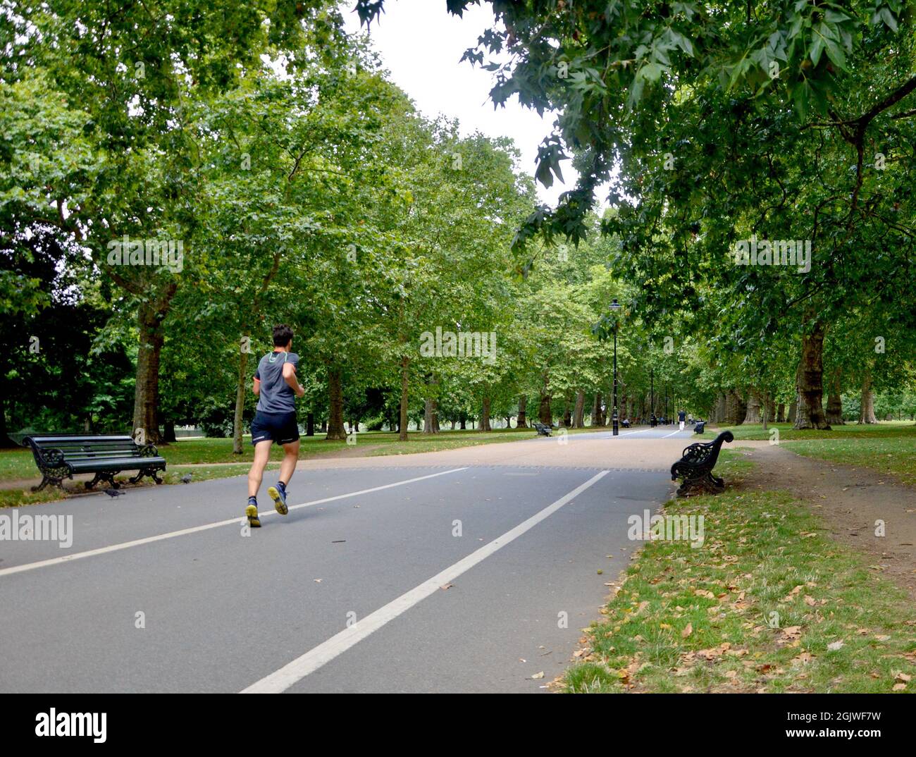 Run recreational athlete hi-res stock photography and images - Alamy
