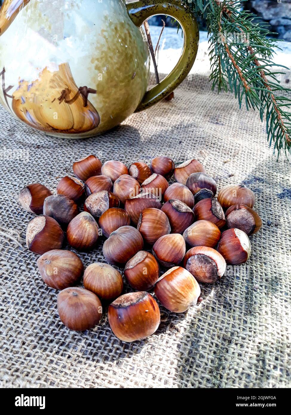 Hazelnut meal flour hi-res stock photography and images - Alamy