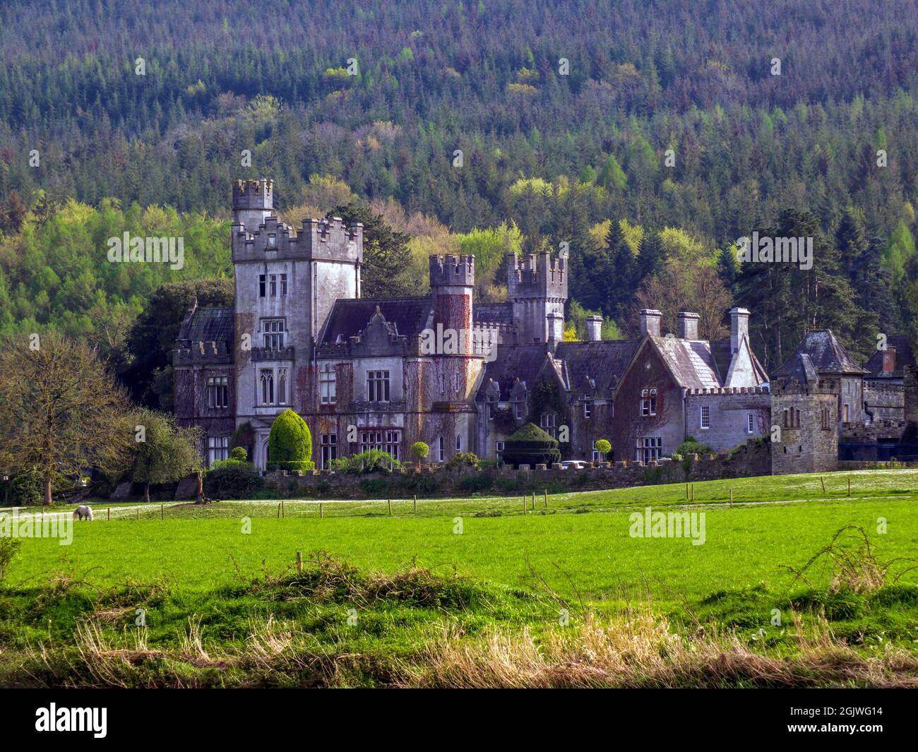 The beautiful old castle is surrounded by wonderful forest in County ...