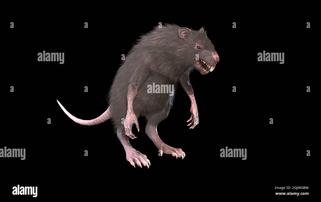Mythical WereRat monster on chromakey background 3d render Stock Photo ...
