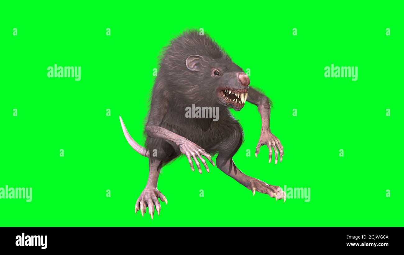 Mythical WereRat monster on chromakey background 3d render Stock Photo ...