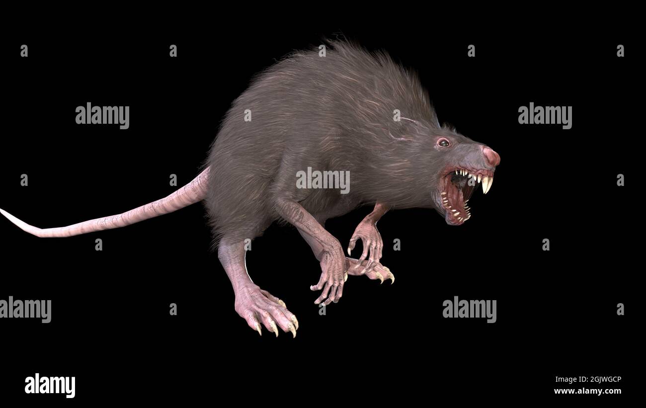 Mythical WereRat monster on chromakey background 3d render Stock Photo ...