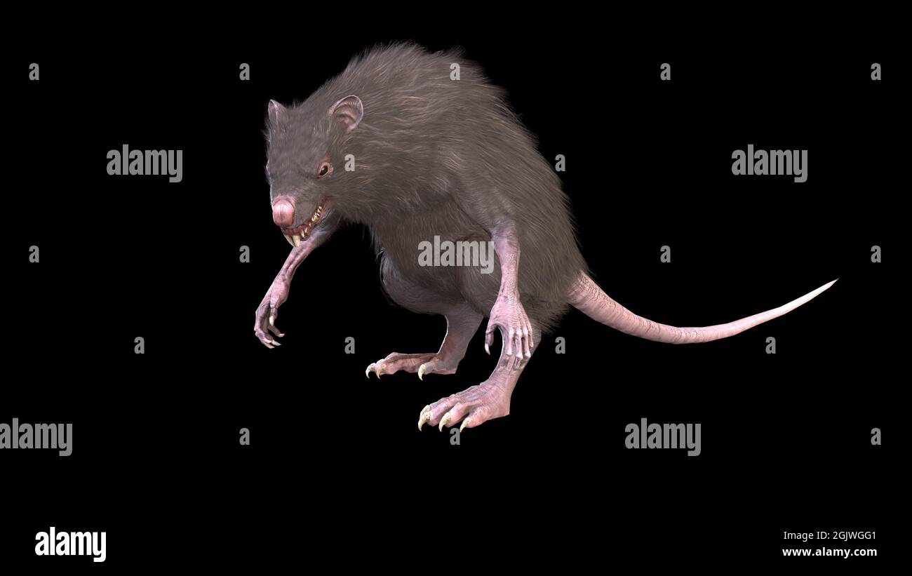 Mythical WereRat monster on chromakey background 3d render Stock Photo ...