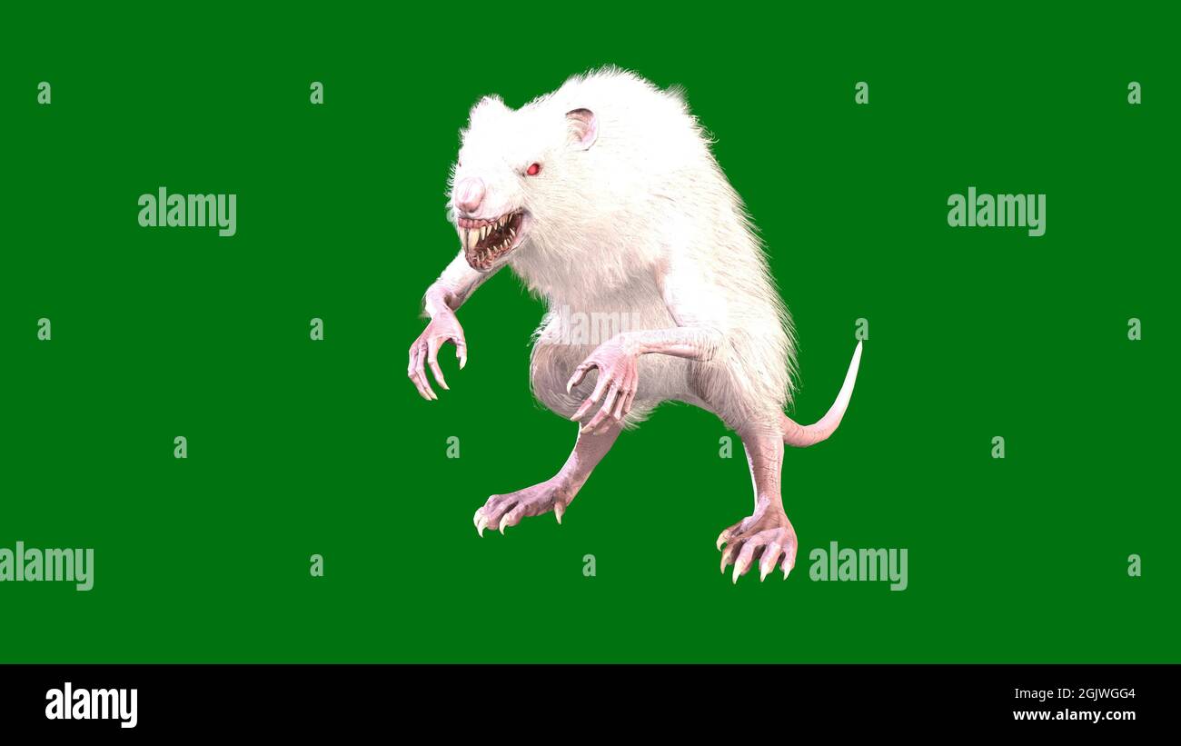 Mythical WereRat monster on chromakey background 3d render Stock Photo ...