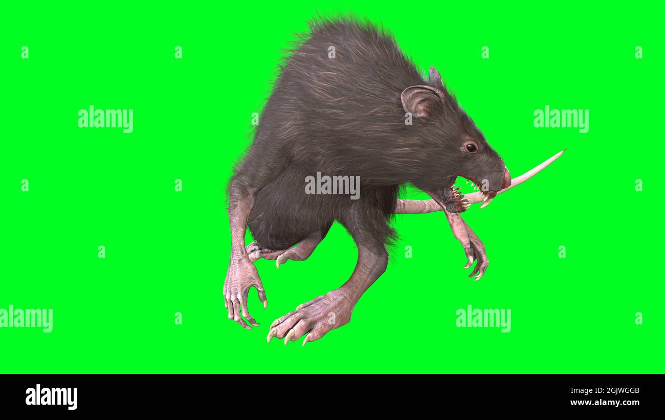 Mythical WereRat monster on chromakey background 3d render Stock Photo ...