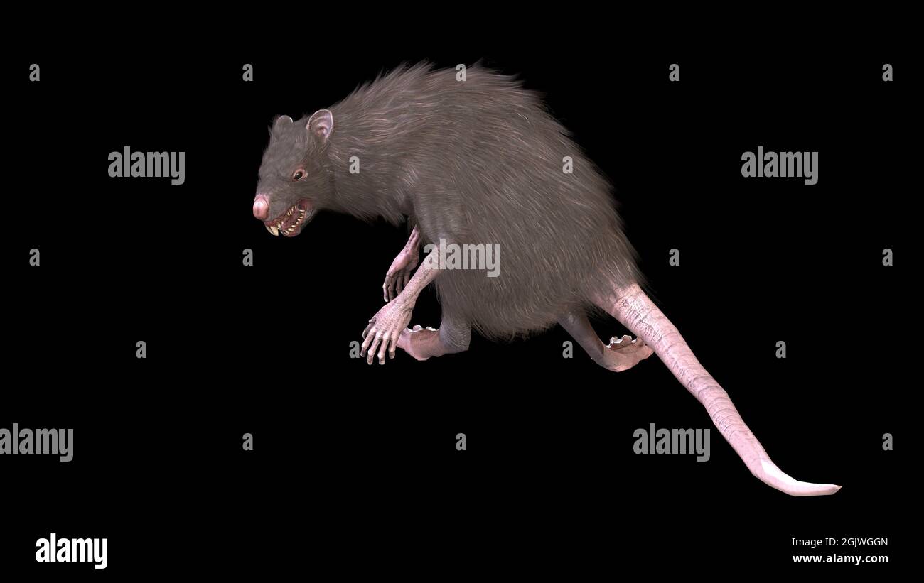 Mythical WereRat monster on chromakey background 3d render Stock Photo ...