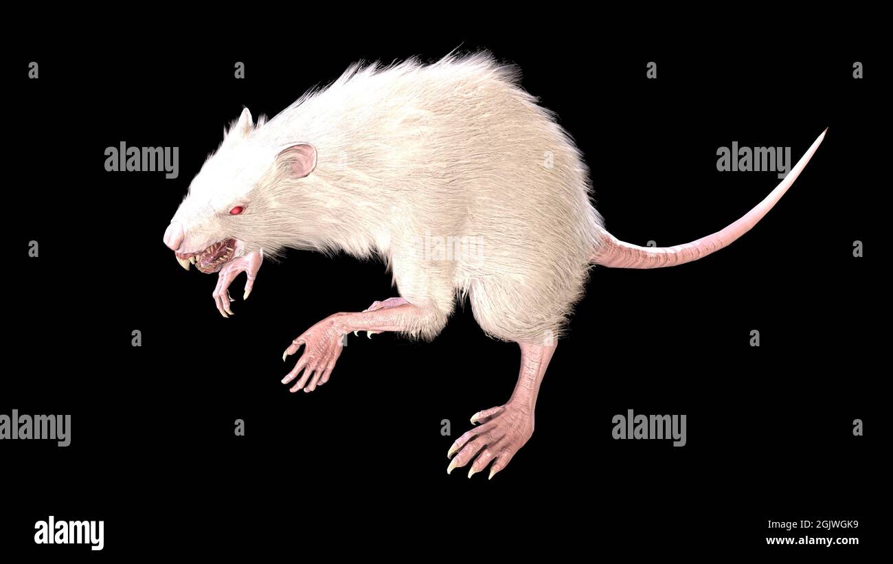 Mythical WereRat monster on chromakey background 3d render Stock Photo ...