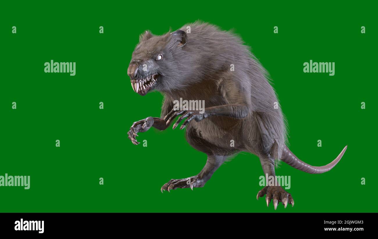 Mythical WereRat monster on chromakey background 3d render Stock Photo ...