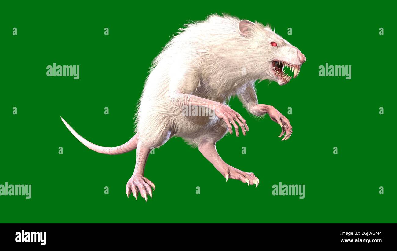 Mythical WereRat monster on chromakey background 3d render Stock Photo ...