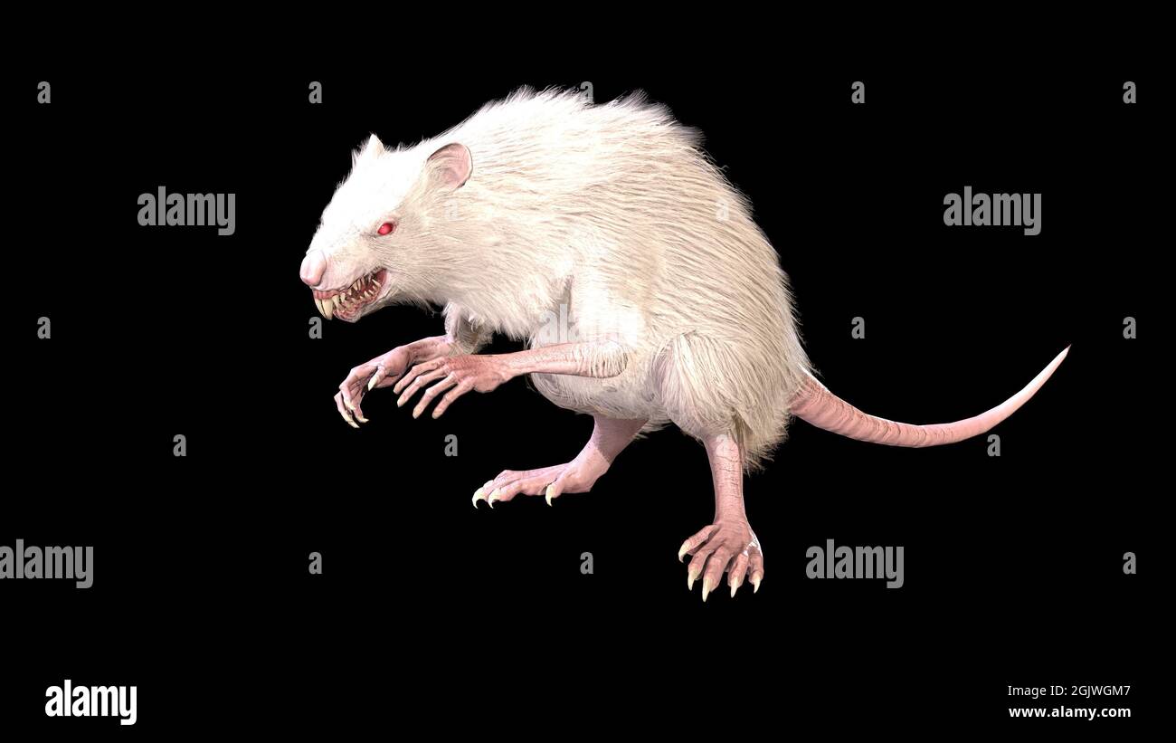 Mythical WereRat monster on chromakey background 3d render Stock Photo ...