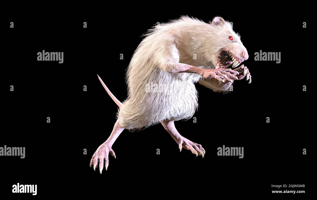 Mythical WereRat monster on chromakey background 3d render Stock Photo ...