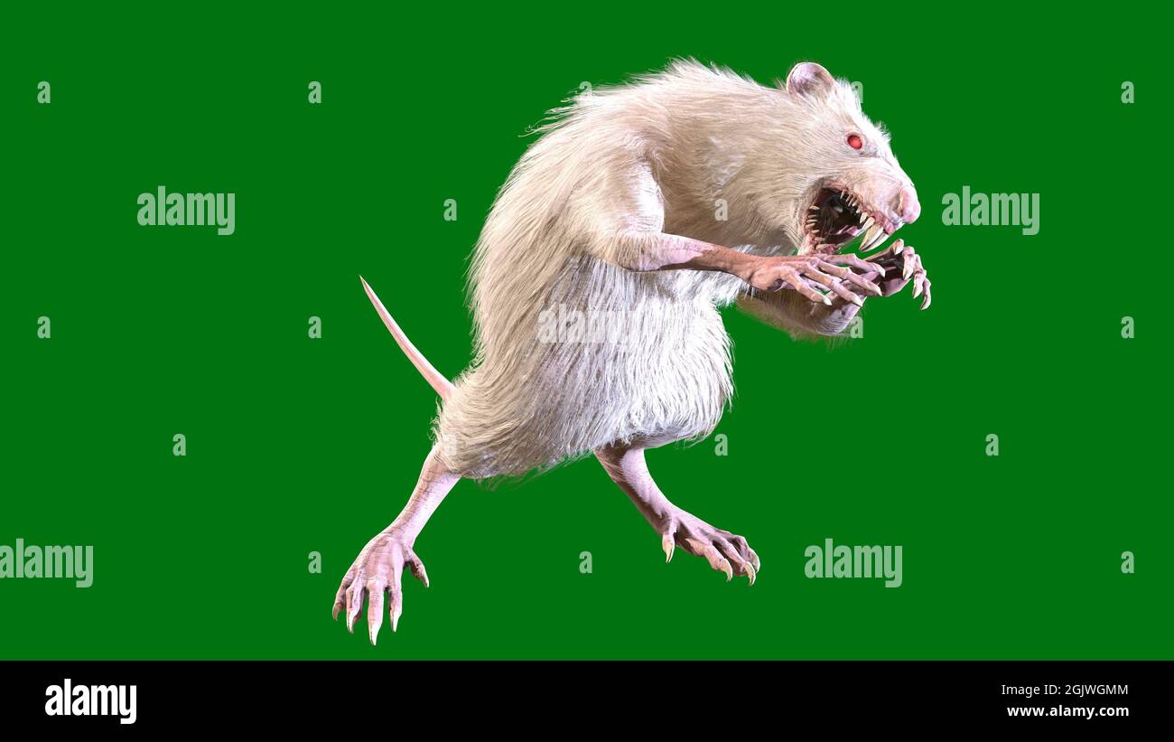 Mythical WereRat monster on chromakey background 3d render Stock Photo ...