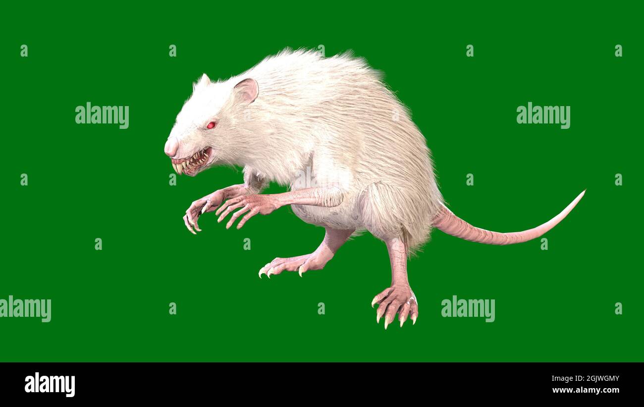 Mythical WereRat monster on chromakey background 3d render Stock Photo ...