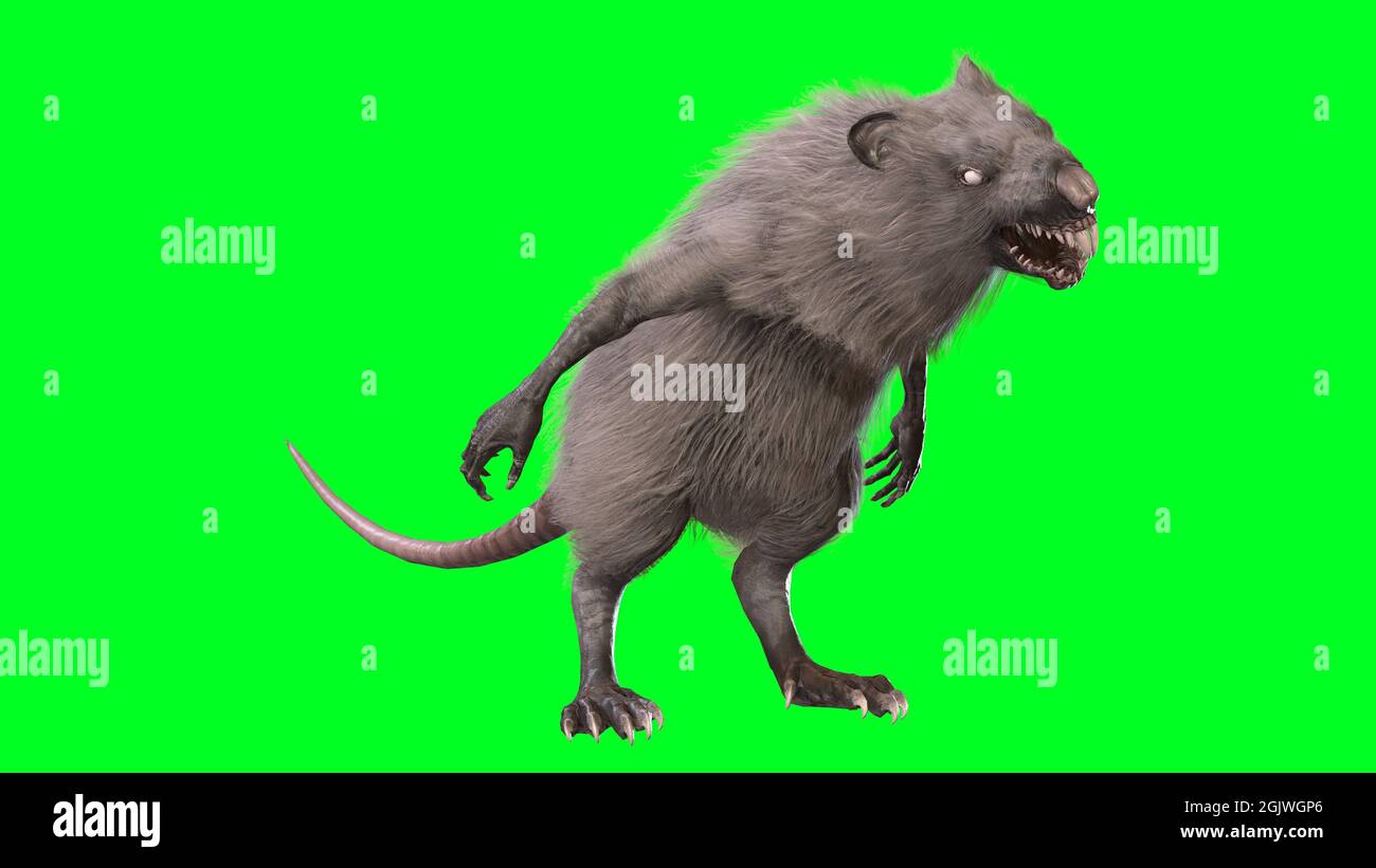 Mythical WereRat monster on chromakey background 3d render Stock Photo ...