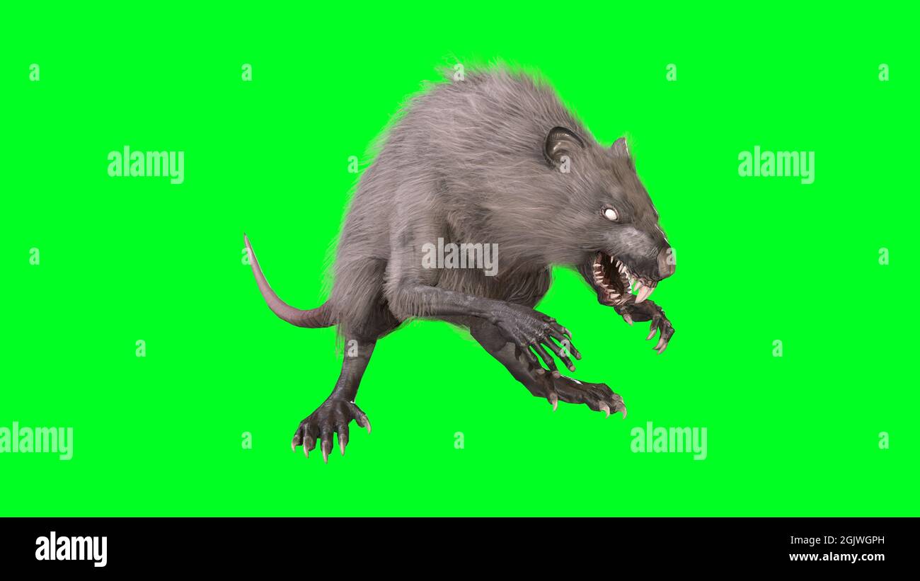 Mythical WereRat monster on chromakey background 3d render Stock Photo ...