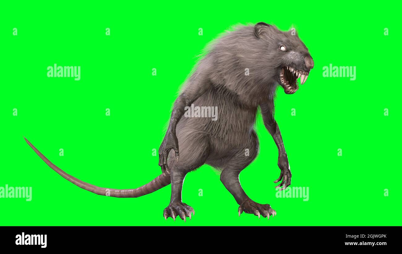 Mythical WereRat monster on chromakey background 3d render Stock Photo ...